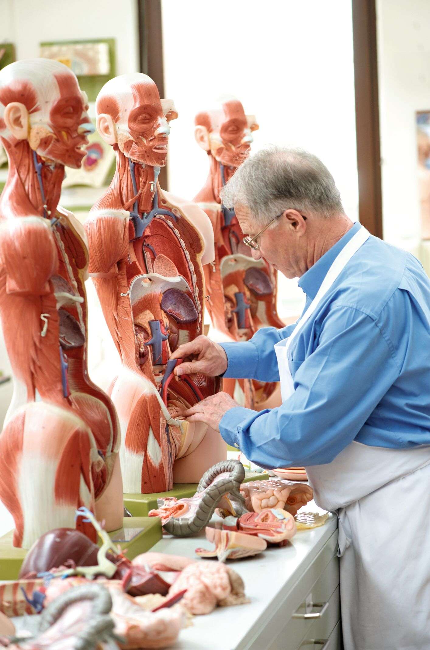 Original SOMSO® Modelle | SOMSO®