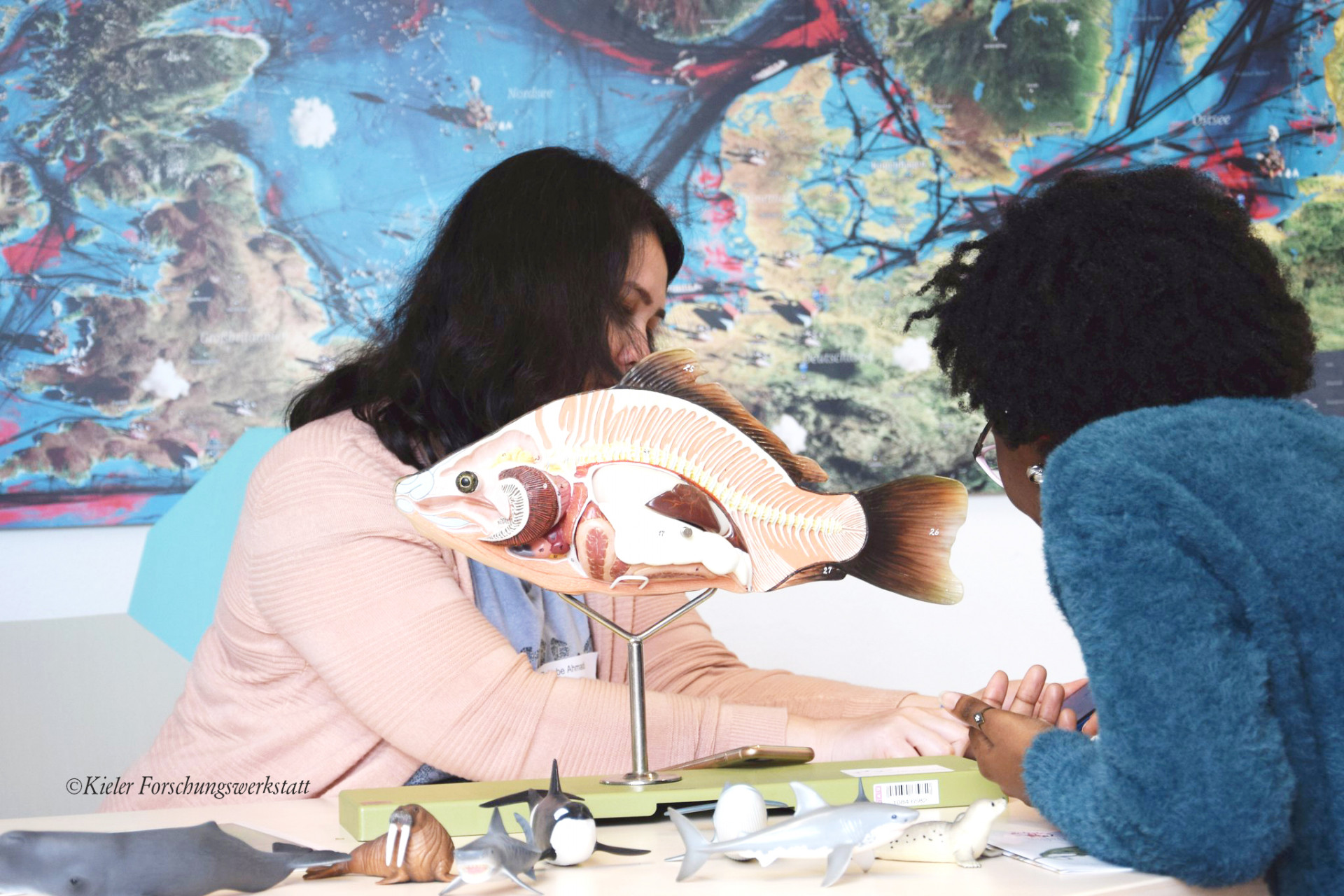 Original SOMSO® Modelle | SOMSO®