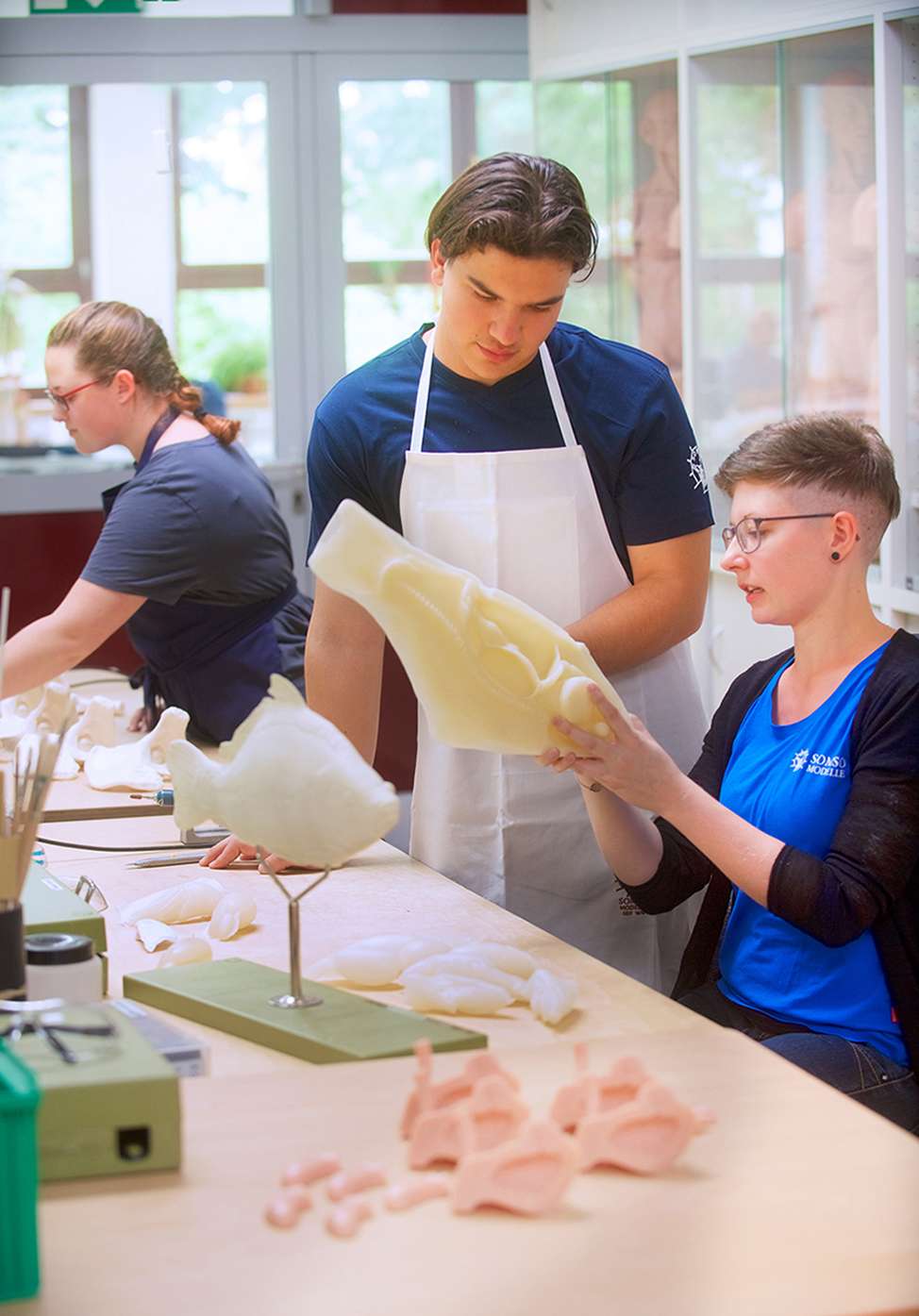 Ausbildung › SOMSO® | SOMSO®