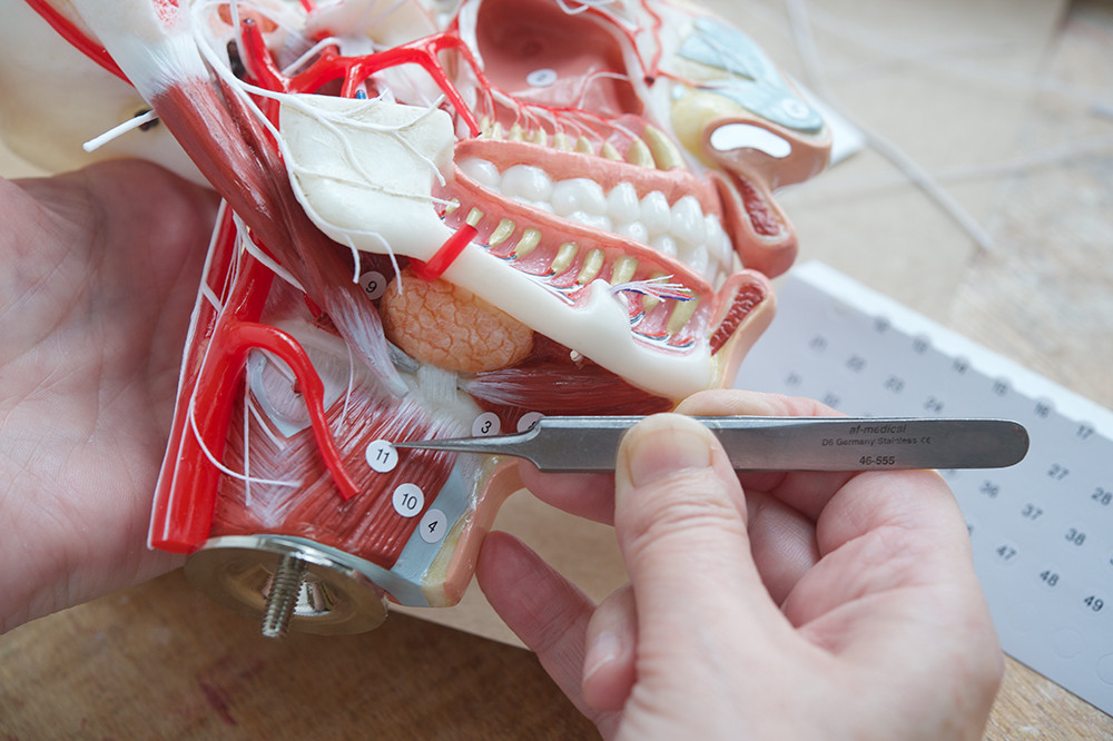 Family business › SOMSO® | SOMSO®